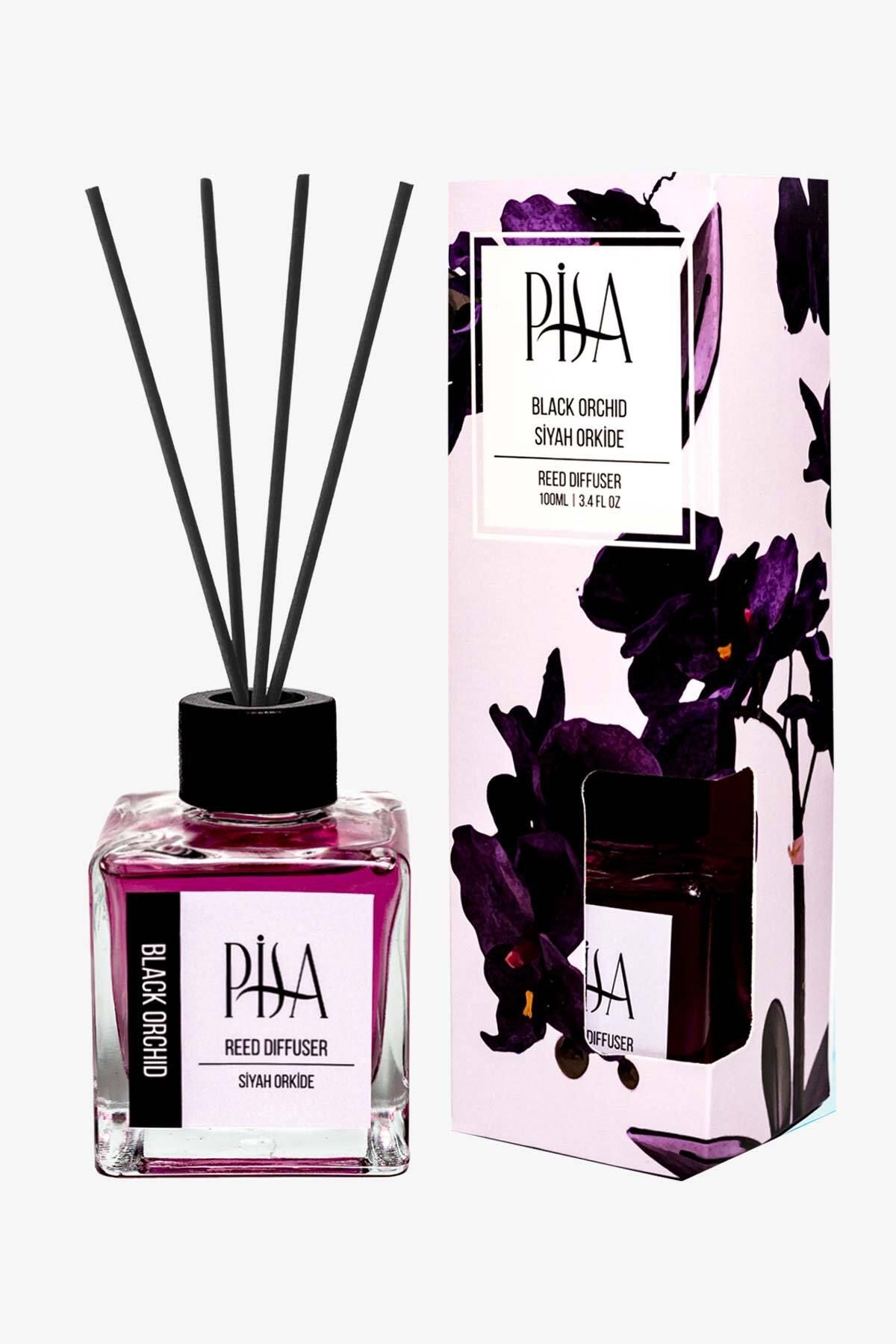 Pisa, Black Orchid Reed Diffuser – Baytkon